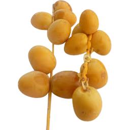 Datte FRAICHE Le Choix du Primeur - Intermarché