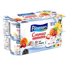 Cremeo - Yaourts morceaux de fruits Pâturages, une marque Intermarché ...